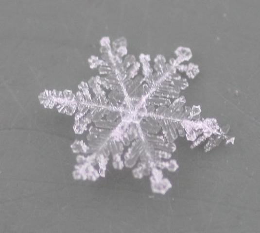 Know Your Snow The 35 Types Of Snowflakes Denver7 TheDenverChannel